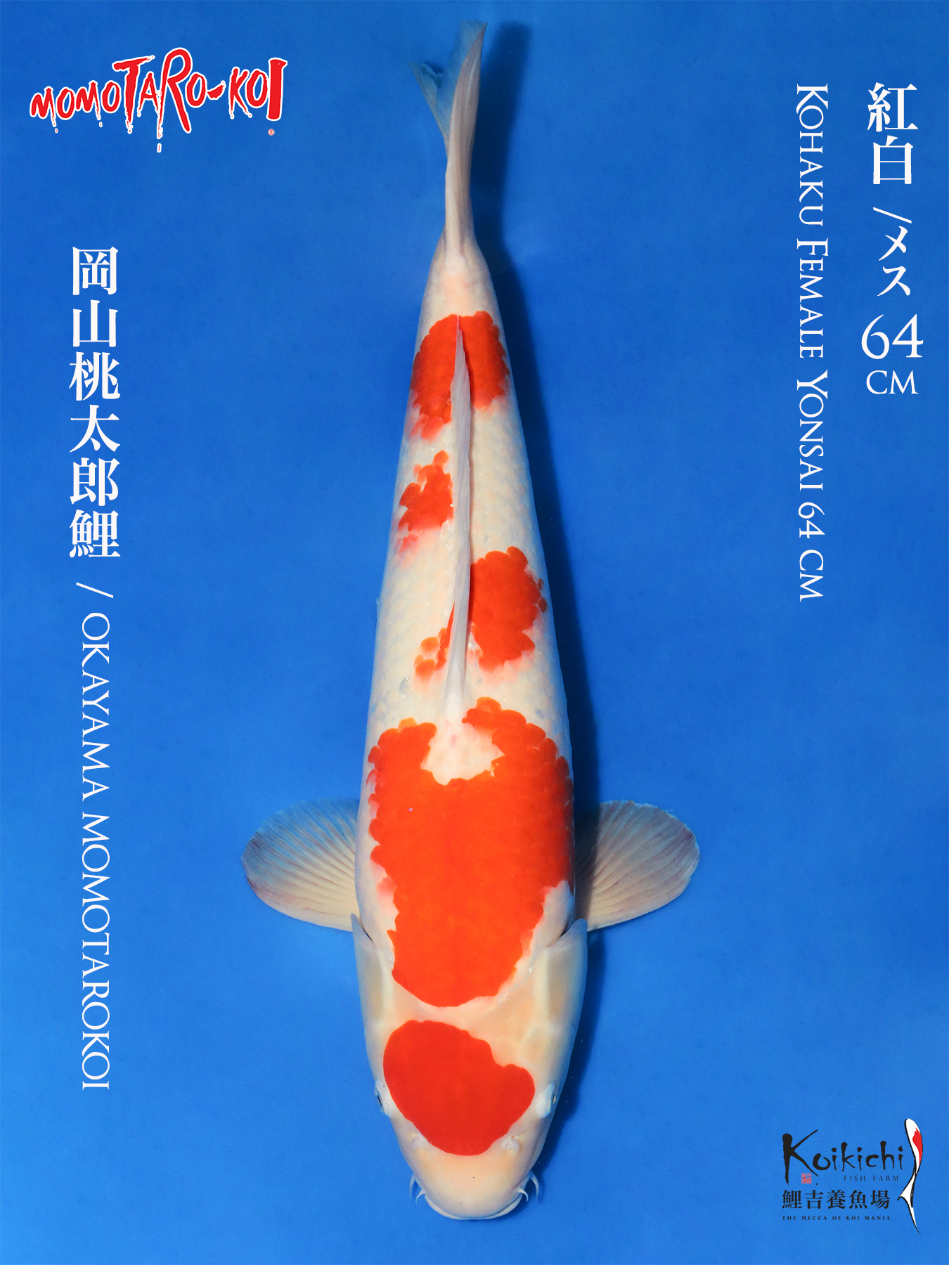 กิจกรรม